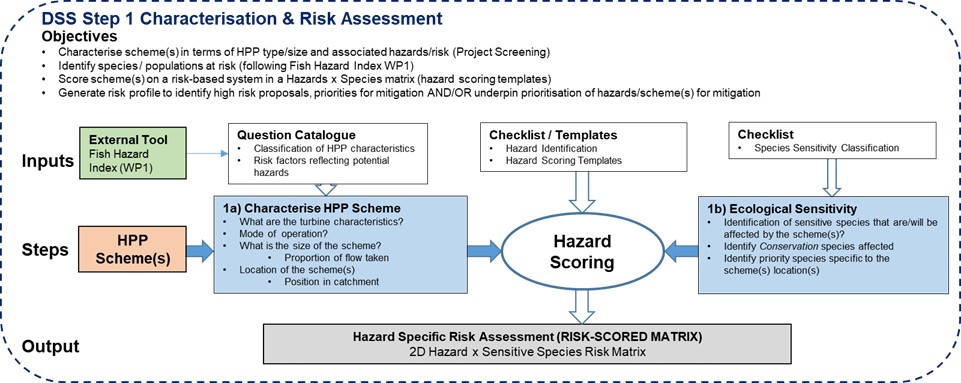Decision Support System Steps - FIThydrowiki