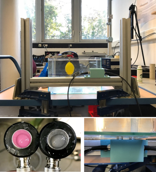 3D sensorless, ultrasound fish tracking - FIThydrowiki