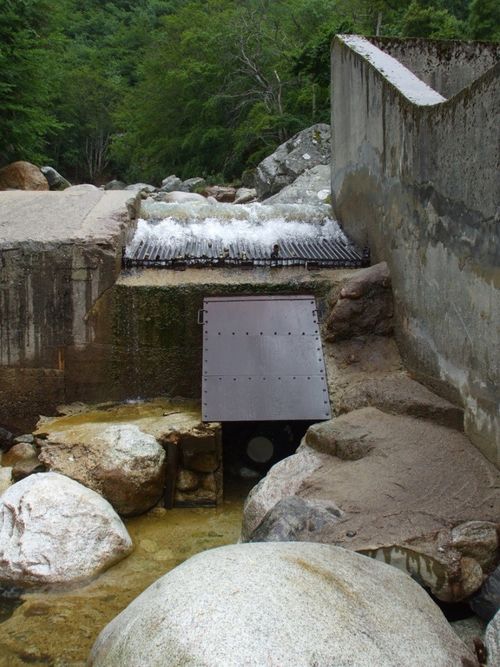 Bottom-type intakes (Coanda screen, Lepine water intake, etc ...